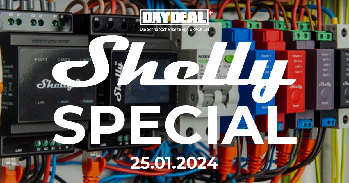 Shelly-Special bei DayDeal.ch