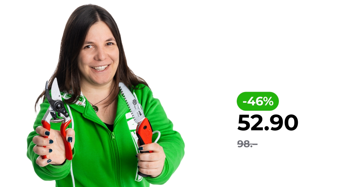 Gartenschere-Set Felco Gartenschere und Klappsäge